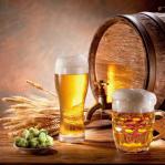 Beer Brewing Equipment And Supplies Online, Homebrew Store In Redding